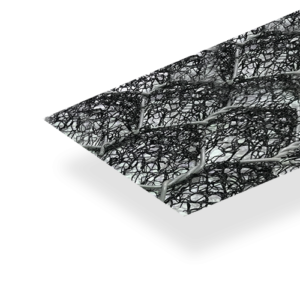 About Cirtex - Cirtex Australia